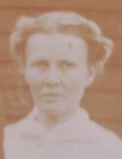 John Allen Holbrook – How it all Began