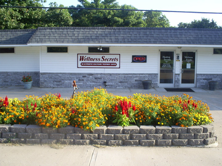 Wellness Secrets – How it all Began