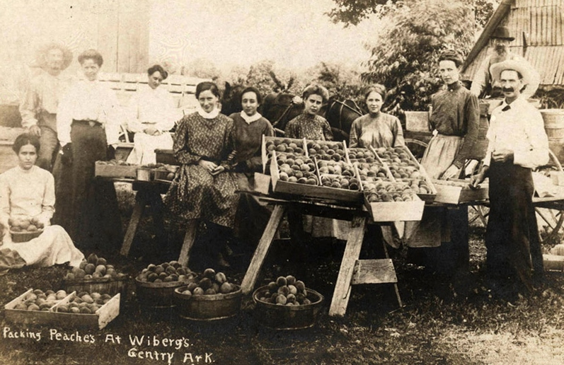 A Brief History of Gentry, Arkansas – How it all Began