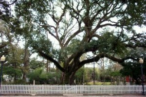 A Brief History of Hammond, Louisiana – How it all Began