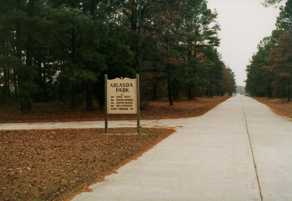 2021 – How it all Began